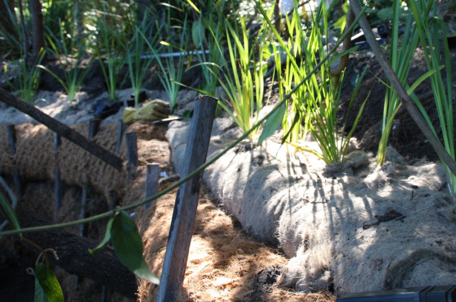 NEW COIR LOG WALL BUILT JUNE 2011 - Currimundi Catchment Care Group