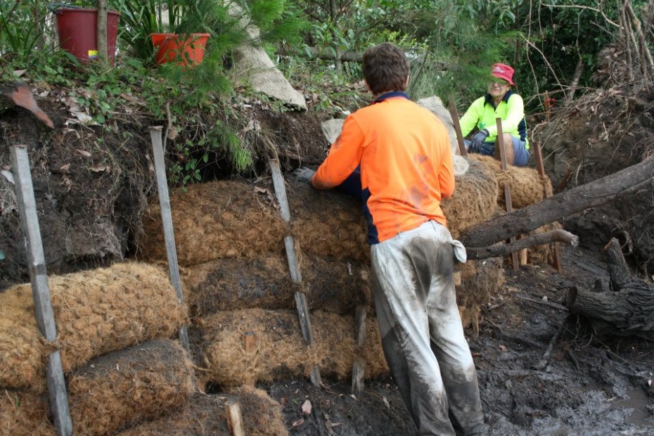 More Coir Log Wall to Protect banks - Currimundi Catchment Care Group